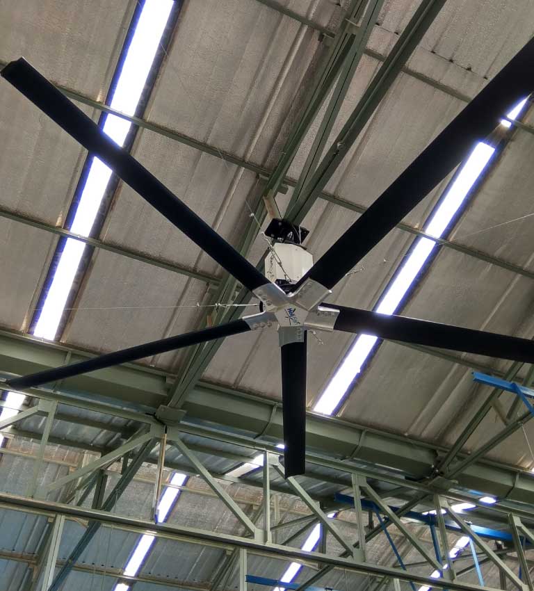 Heli Fan